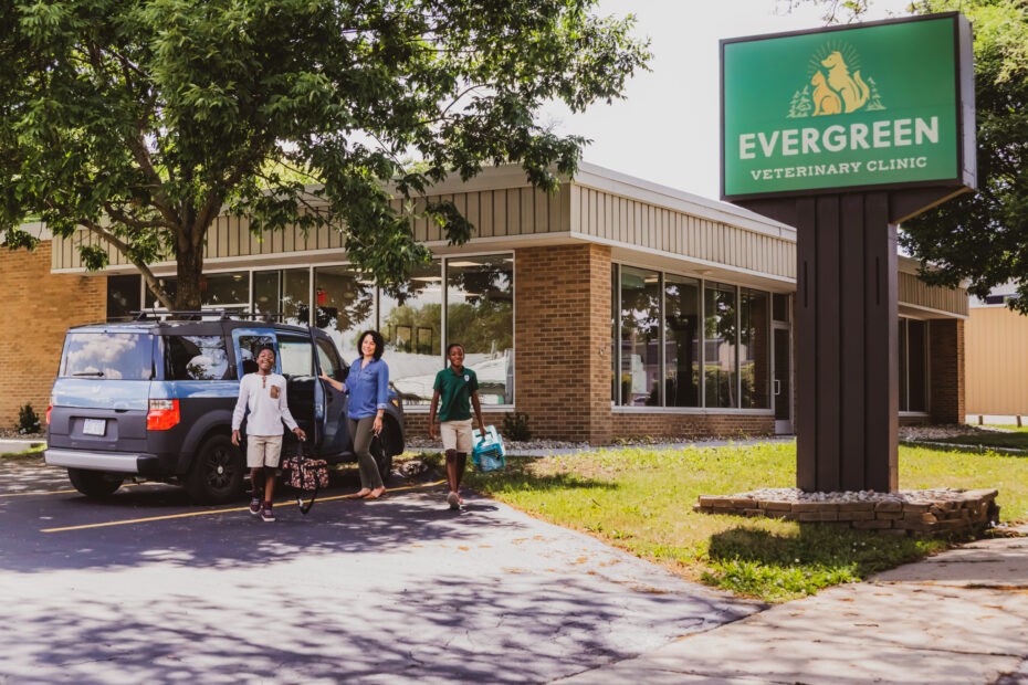 Services Evergreen Veterinary Clinic Lansing services-evergreen-veterinary-clinic-lansing